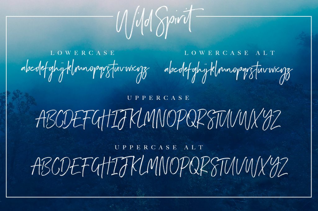 Wild Spirit Font | Set Sail Studios