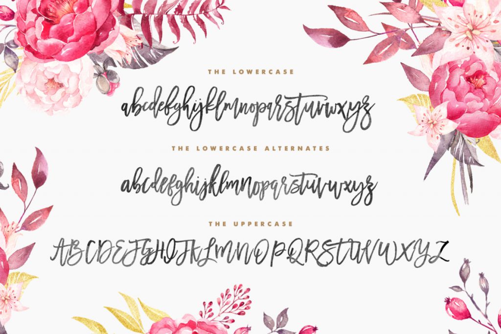 Madina Script (New Update) | Set Sail Studios