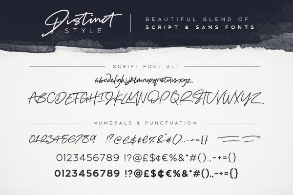 Distinct Style Font Duo | Set Sail Studios