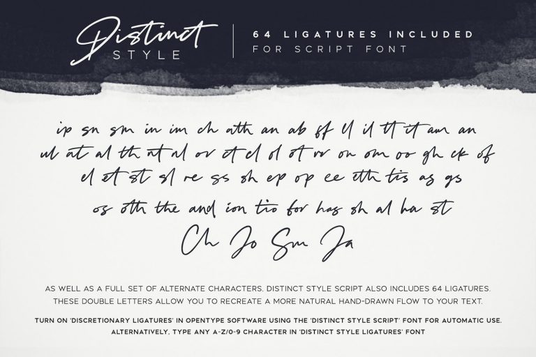Distinct Style Font Duo | Set Sail Studios