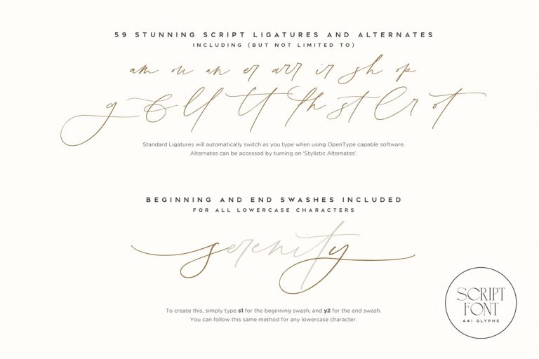 Simple Serenity Serif & Script | Set Sail Studios