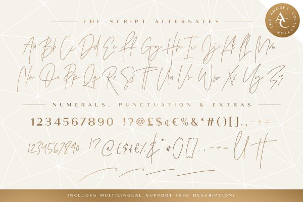 The Amoret Font Duo + Logos | Set Sail Studios